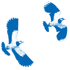 Lapwing Conservation.org | logo